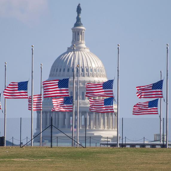 American Flags, State Flags, Military Flags | Carrot-Top Flags